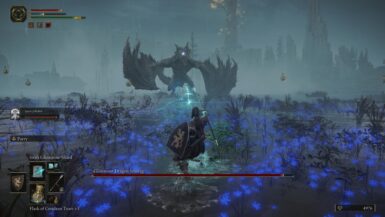 Where to find the Key to Enter the Academy of Raya Lucaria in Elden ...