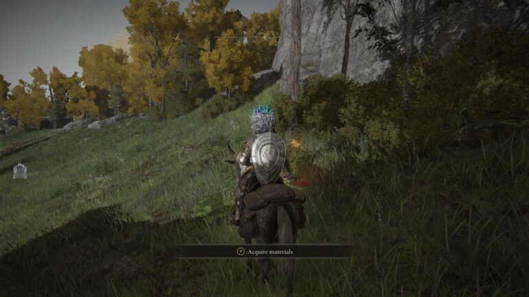 Where to farm Erdleaf Flower in Elden Ring » Infinite Start