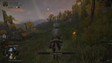 Where to farm Erdleaf Flower in Elden Ring » Infinite Start