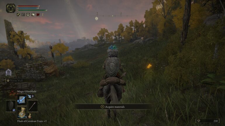 Where to farm Erdleaf Flower in Elden Ring » Infinite Start